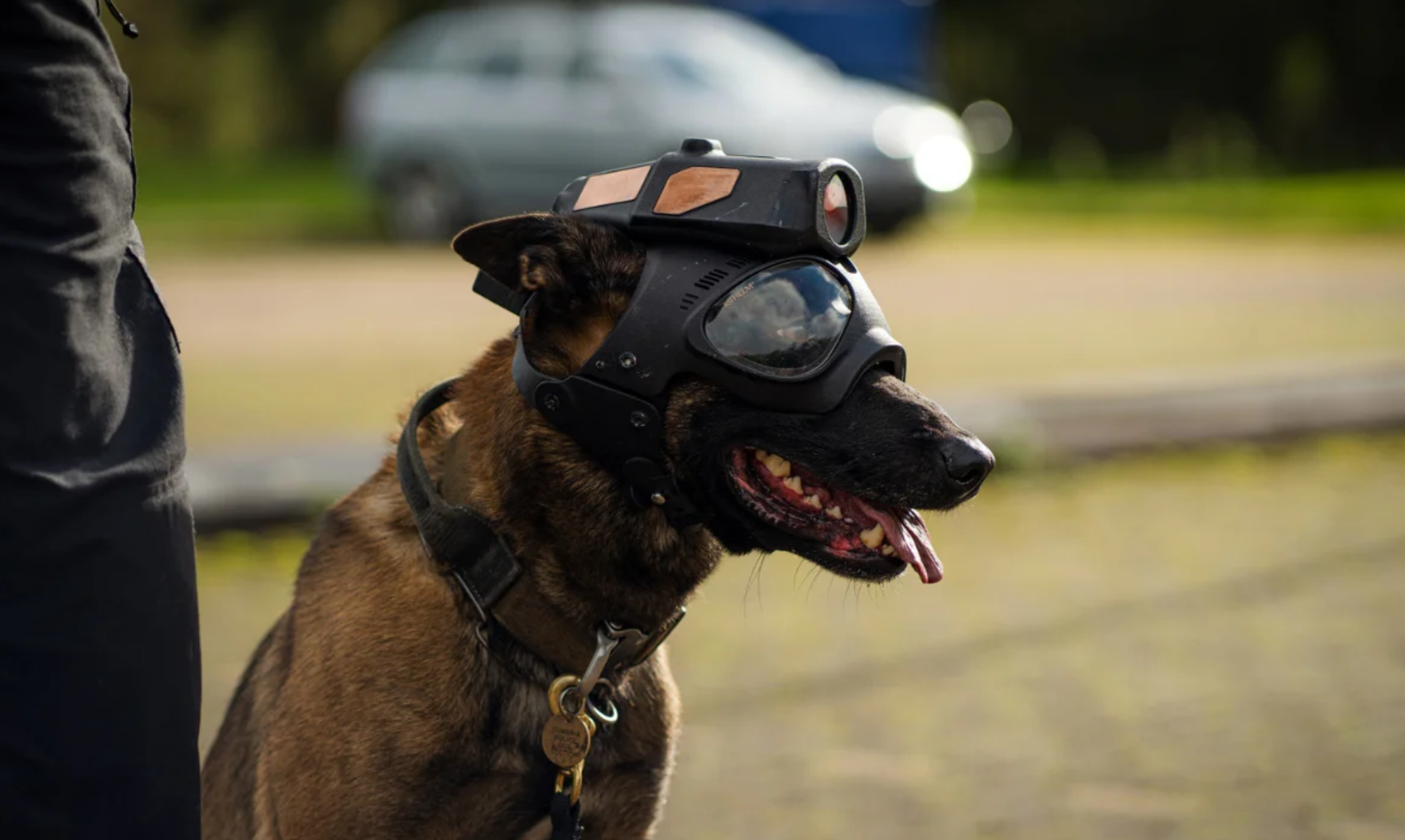 Cumbria Police Trials 3D Printed Police Dog Headcams - Additive-X